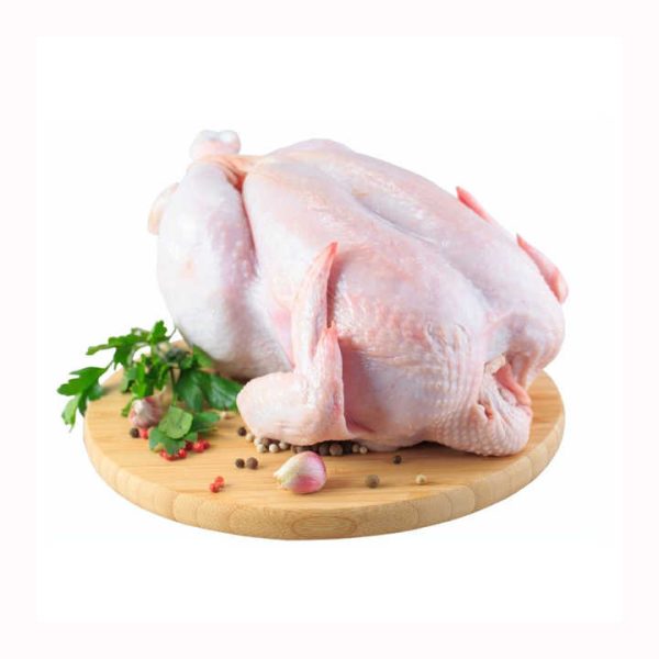 Frozen Whole Chicken - Frozen Chicken For Sale Wholesale Halal Frozen ...